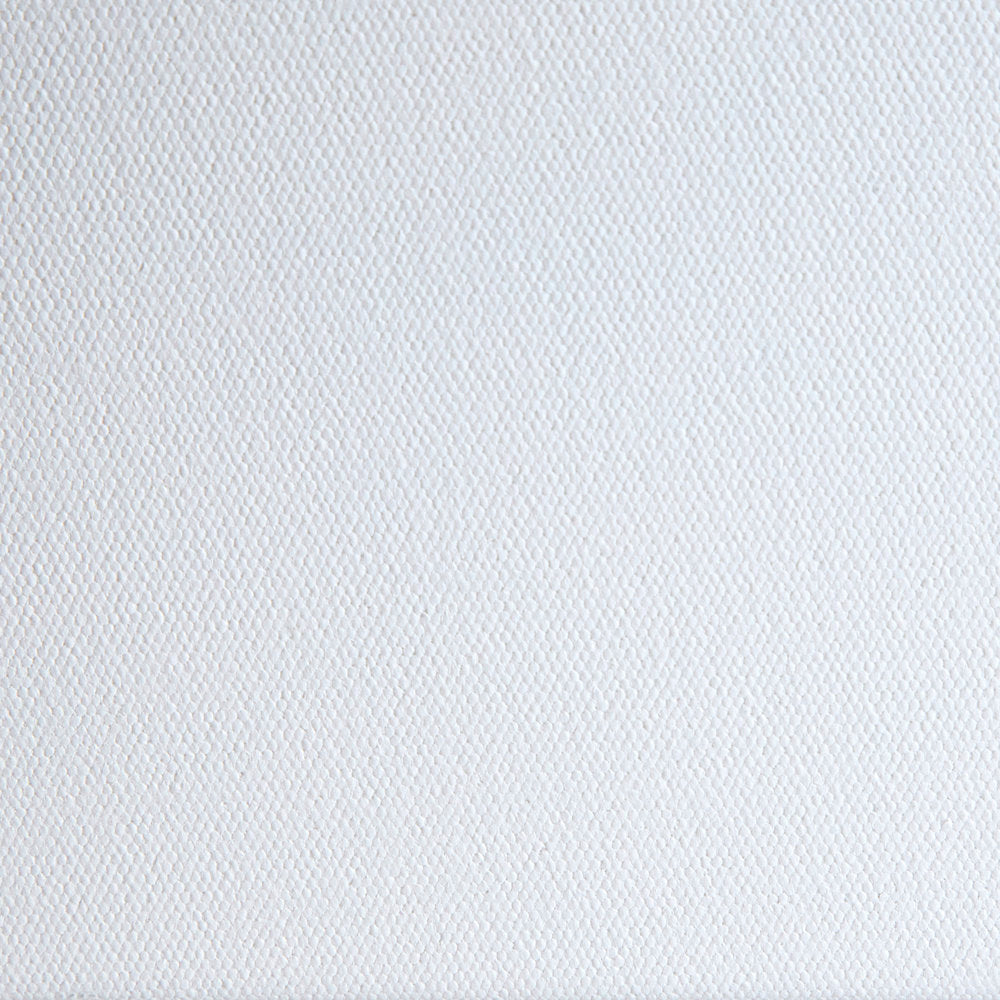 Professional Recycled Canvas - Traditional – Liquitex