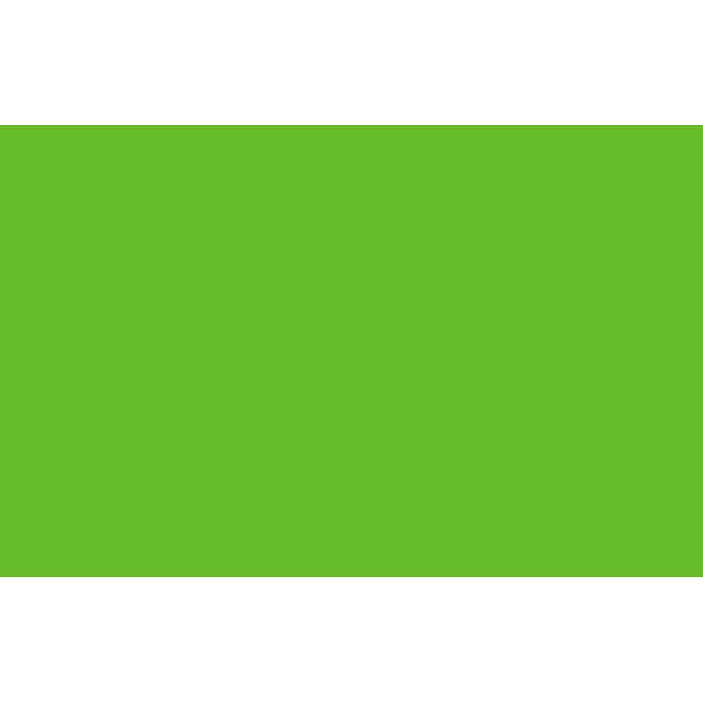 Professional Spray Paint - Vivid Lime Green – Liquitex