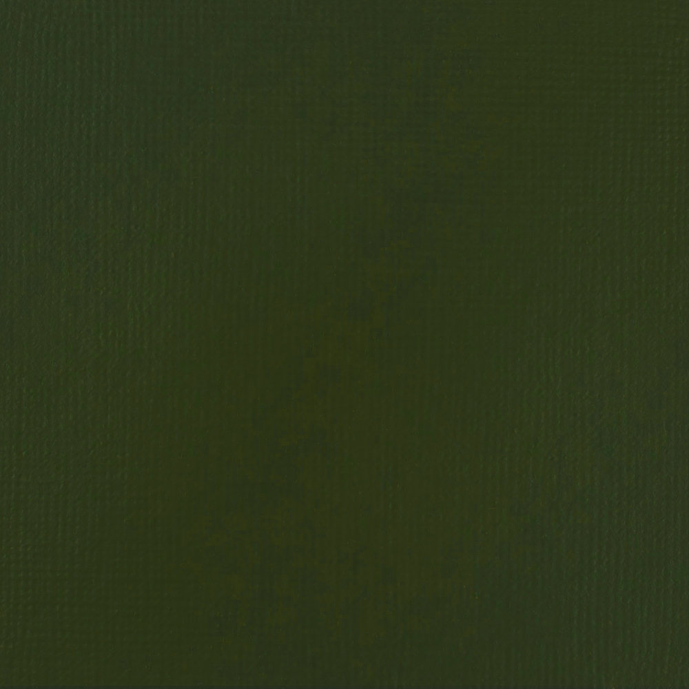 Professional Heavy Body Acrylic - Sap Green Permanent – Liquitex