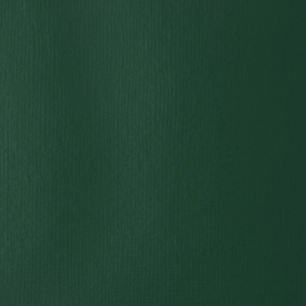 Professional Heavy Body Acrylic - Muted Green – Liquitex