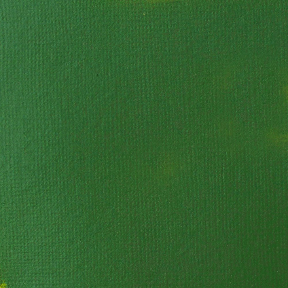 Basics Acrylic Color - Hooker’s Green Hue Permanent – Liquitex