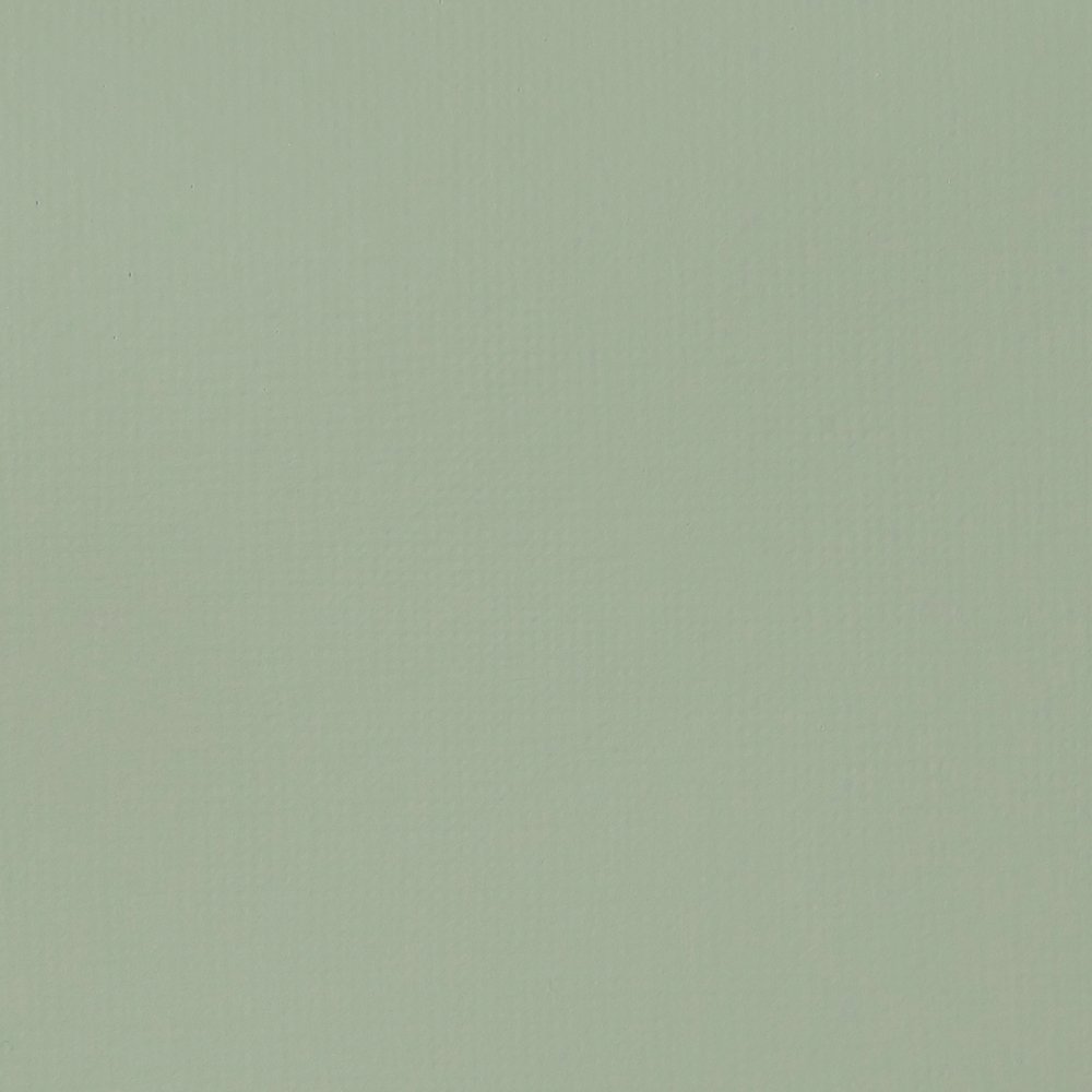 Basics Acrylic Color - Green Gray – Liquitex
